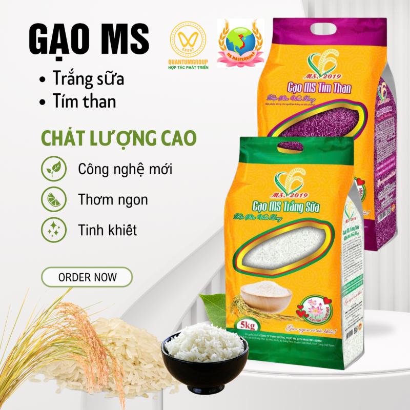 Gạo MS Trắng sữa - Tím than - Green Tech - Truyền thông - Chuyển đổi số ...